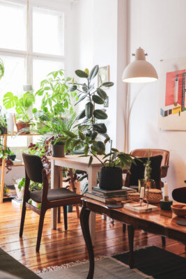 15 Design Ideas to invite greenery in your house. - Aastitva